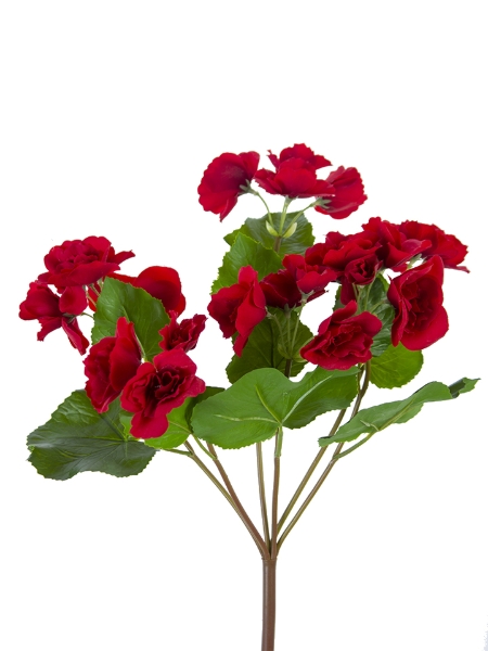 American Best. Floral Stems